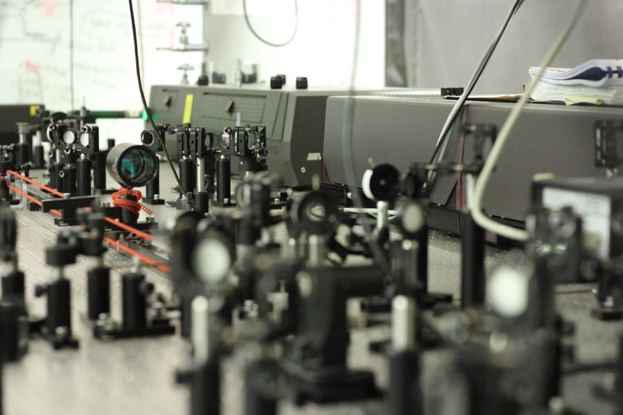 The Lab - The Stern Group