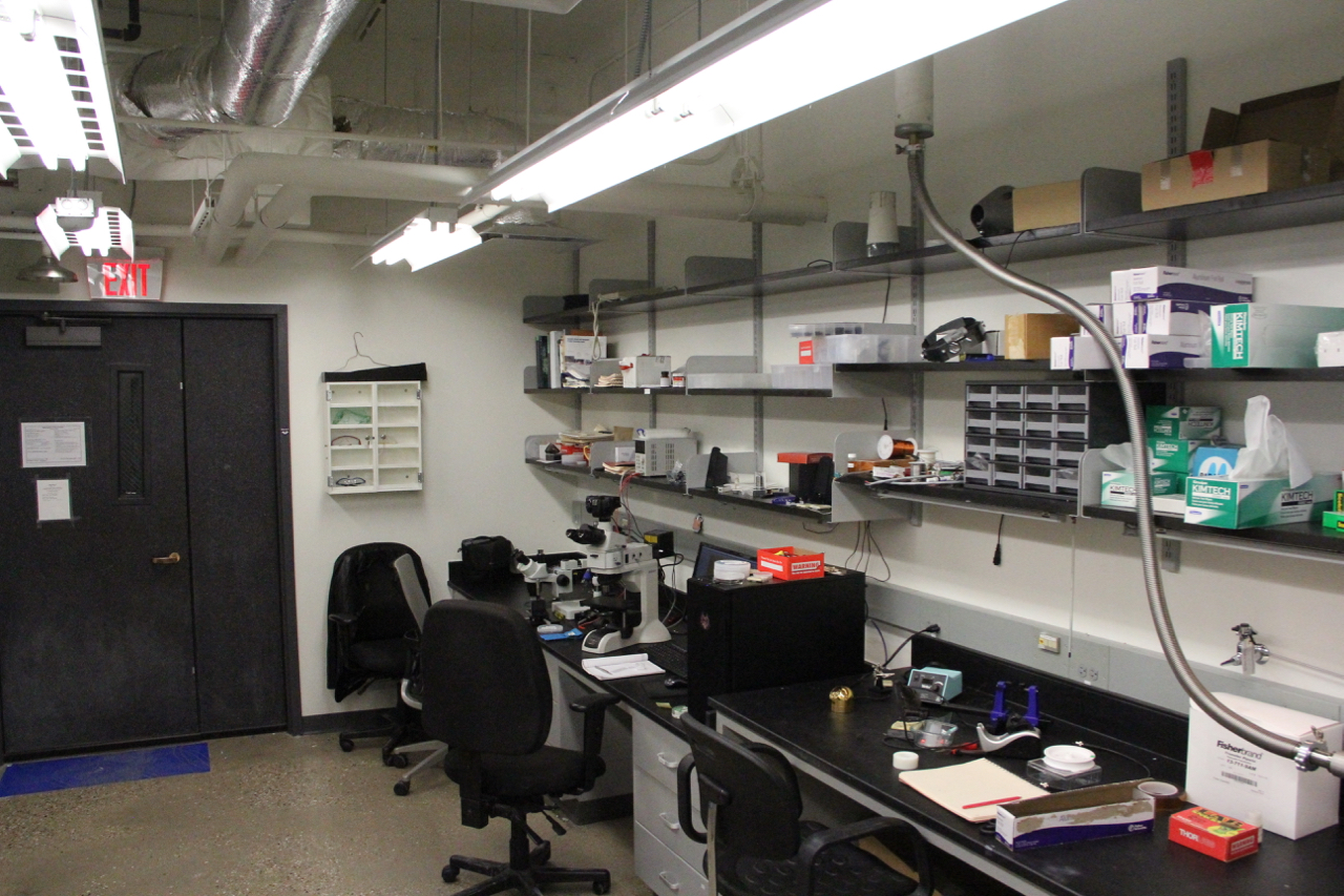 The Lab - The Stern Group