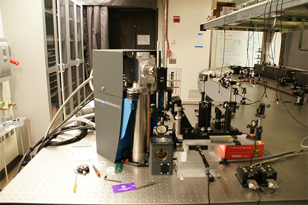 The Lab - The Stern Group