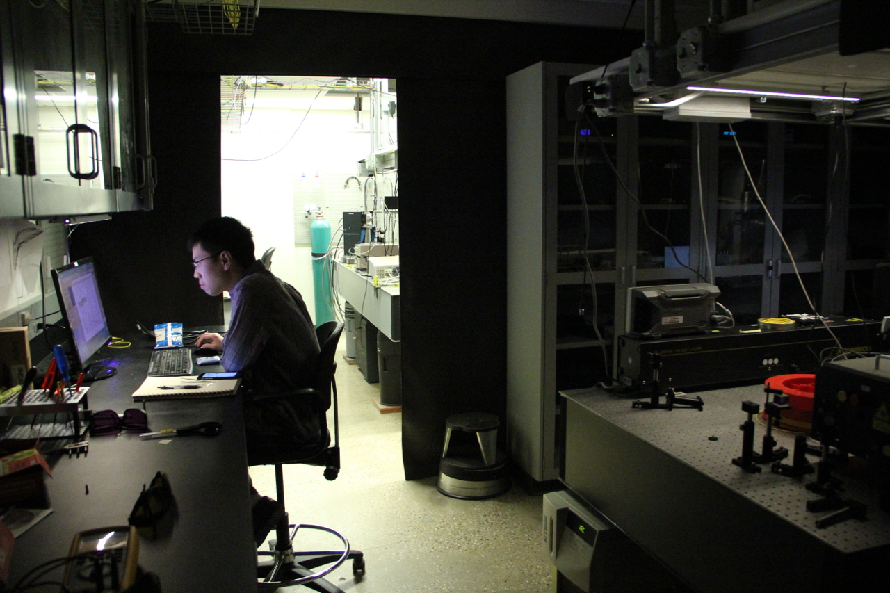 The Lab - The Stern Group