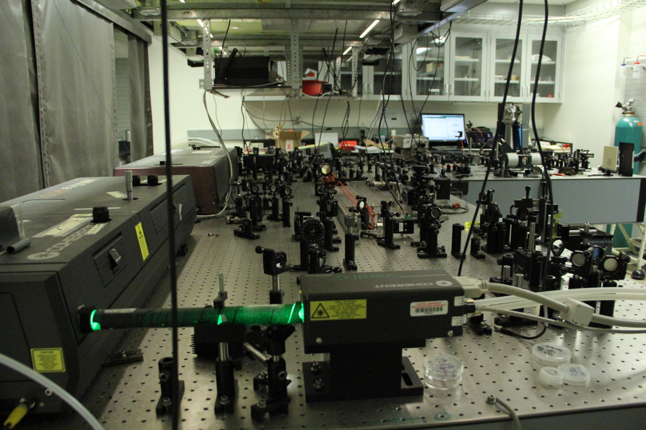 The Lab - The Stern Group