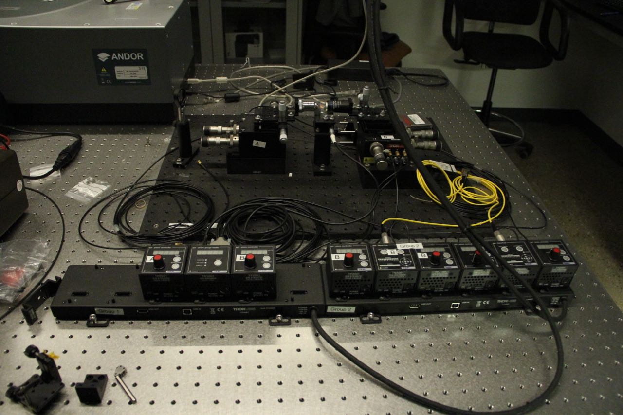 The Lab - The Stern Group