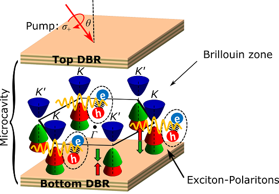 Research - The Stern Group
